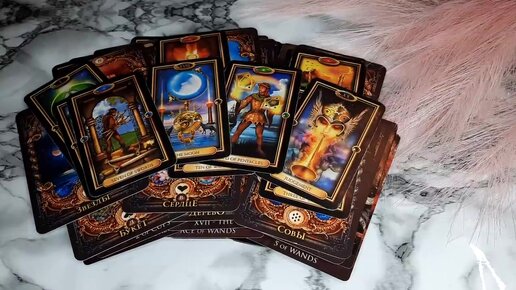 ЕГО МЫСЛИ, ЧУВСТВА И ДЕЙСТВИЯ | Brigitte Tarot | Дзен